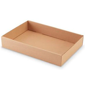 Buy Aluminum Cans & Can Packaging | Wildpack Beverage