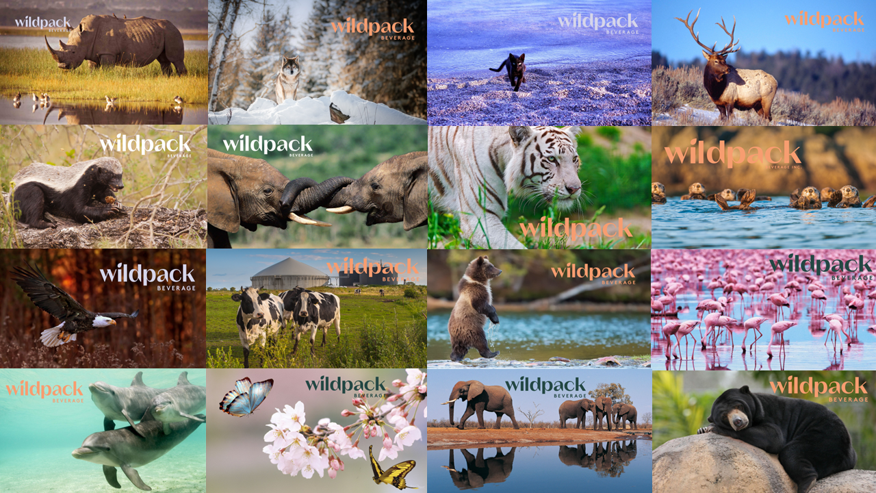 Careers | Wildpack Beverage
